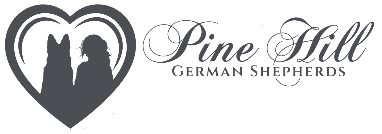 Top 5 Most Famous German Shepherds In The World